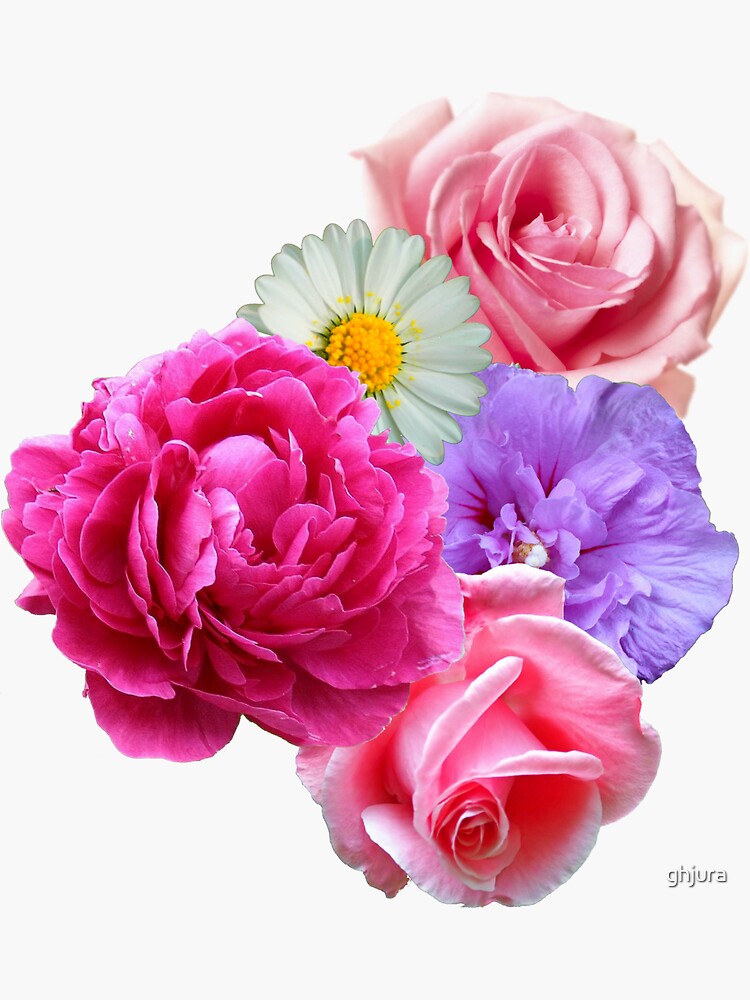 "Flowers " Sticker for Sale by ghjura | Redbubble