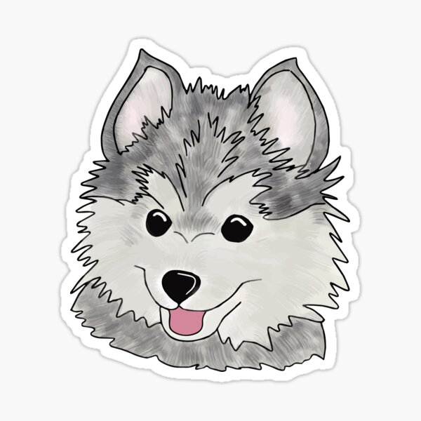 "Pomsky" Sticker by simplylaureld | Redbubble