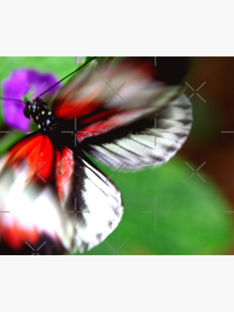 "Flutter" Sticker by amyericephoto | Redbubble