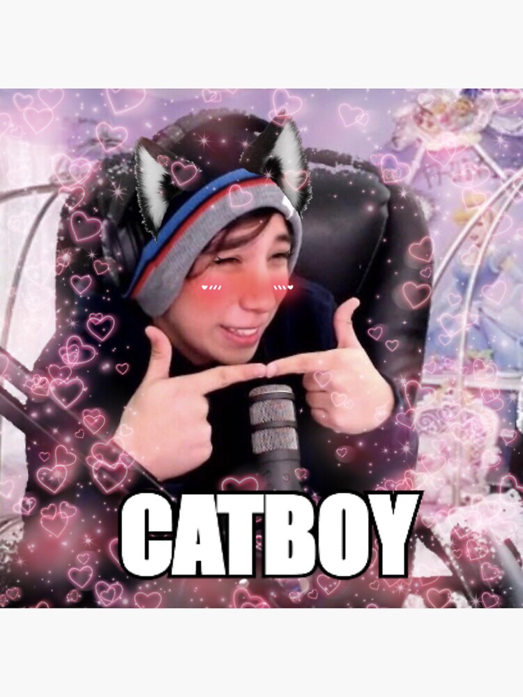 "Catboy Quackity 2.0" Sticker for Sale by nomnomyoongi | Redbubble