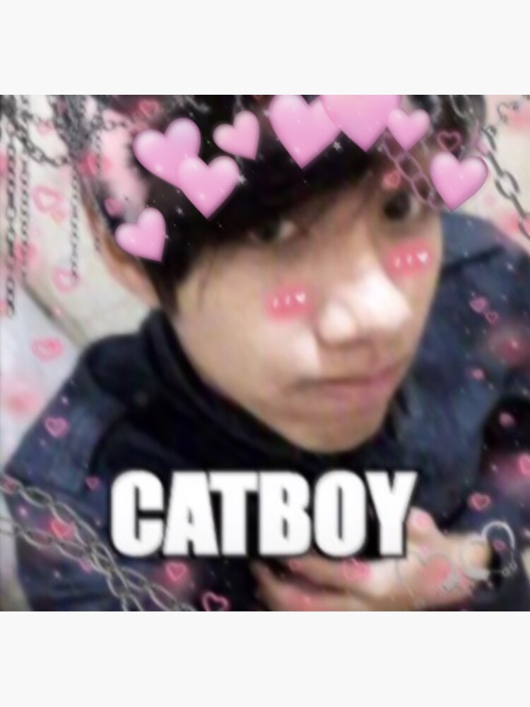 "Catboy Quackity" Sticker by nomnomyoongi | Redbubble