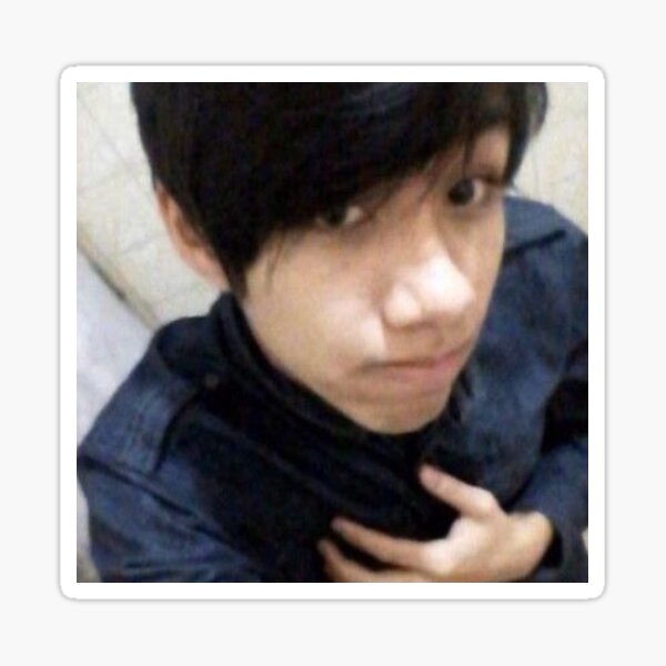 "Original catboy quackity pic" Sticker for Sale by nomnomyoongi | Redbubble