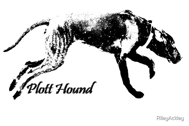 Plott Hound: Canvas Prints | Redbubble