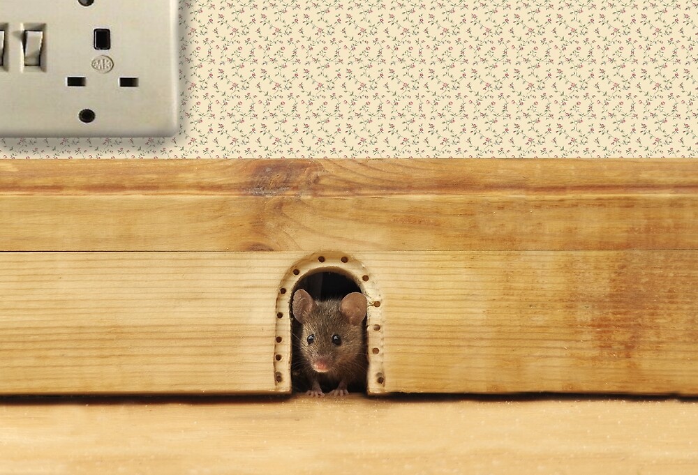 "Mouse hole in a wall " by Simon-dell | Redbubble