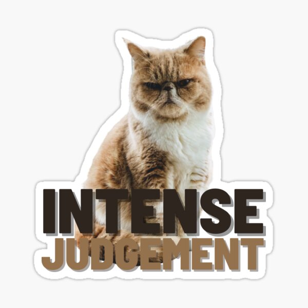 "Intense Judgement Cat" Sticker for Sale by okaydough | Redbubble