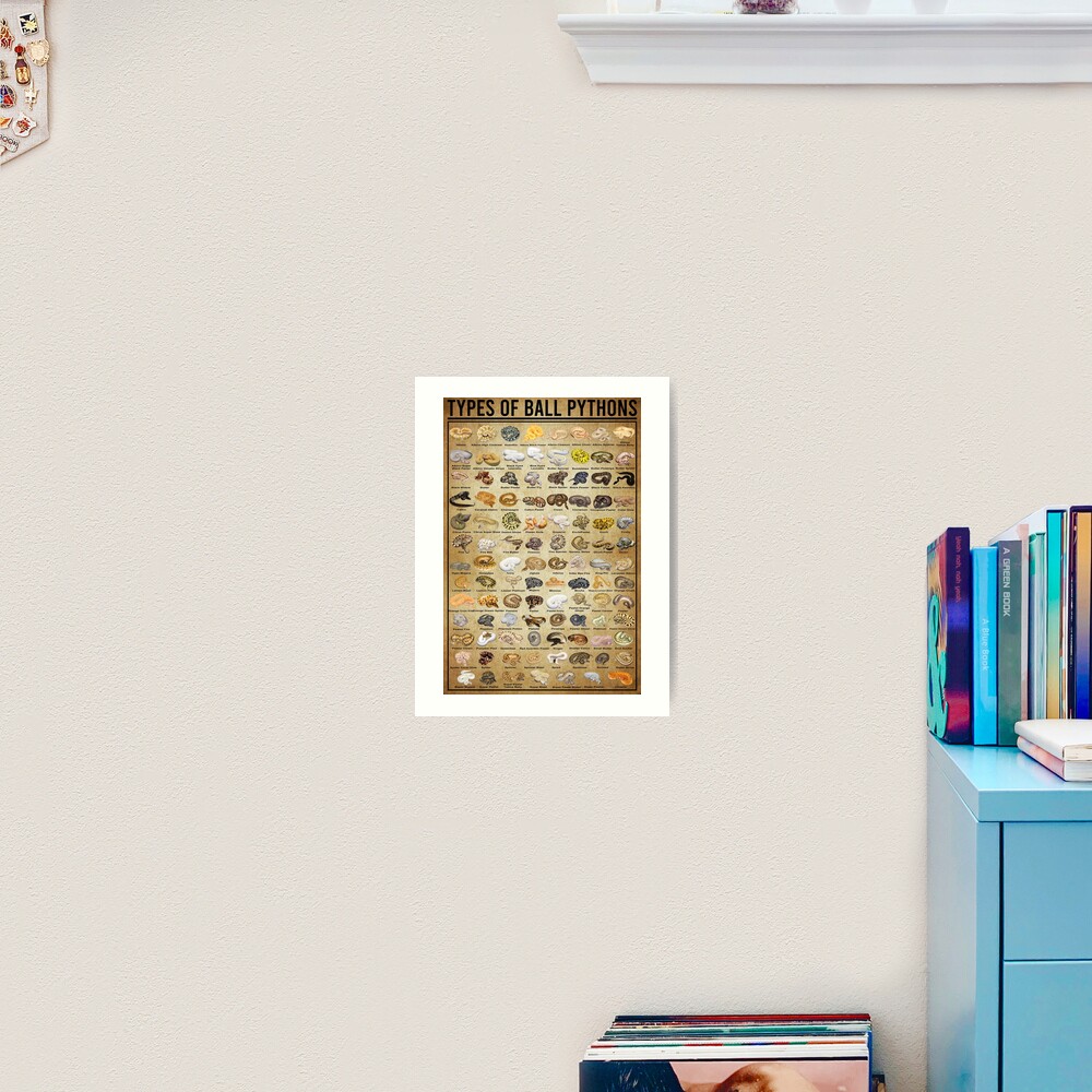 "Types of snakes, Types Of Ball Pythons, Python Knowledge, Ball Pythons ...