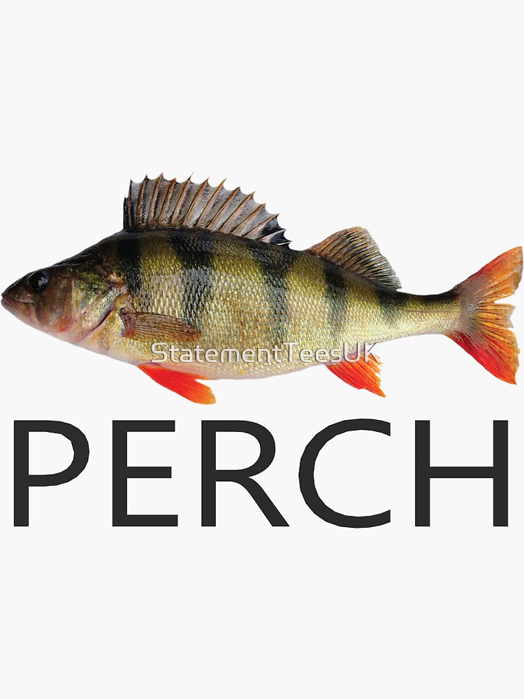 "Perch Predator Fishing" Sticker by StatementTeesUK | Redbubble