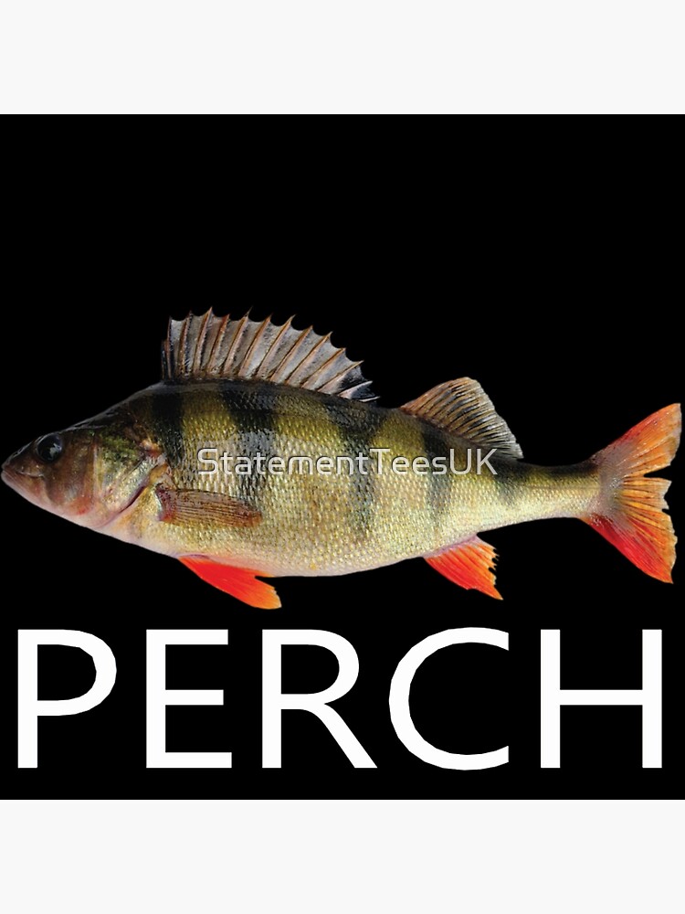 "Perch Predator Fishing" Poster for Sale by StatementTeesUK | Redbubble