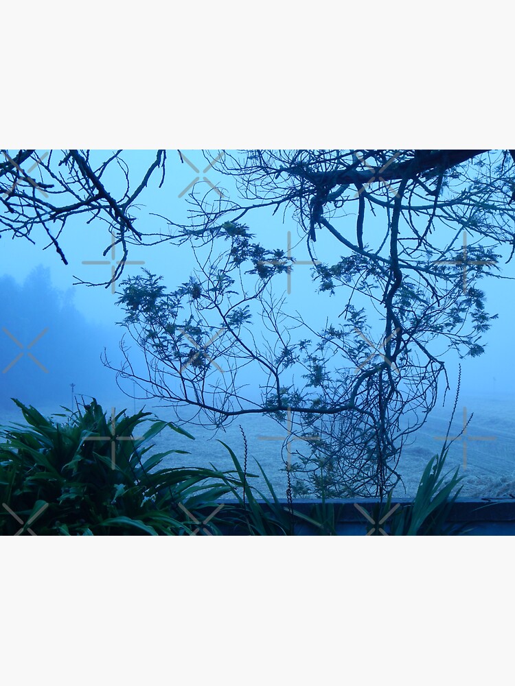 "Trees with fog at dawn sticker" Sticker for Sale by LeahDesign | Redbubble