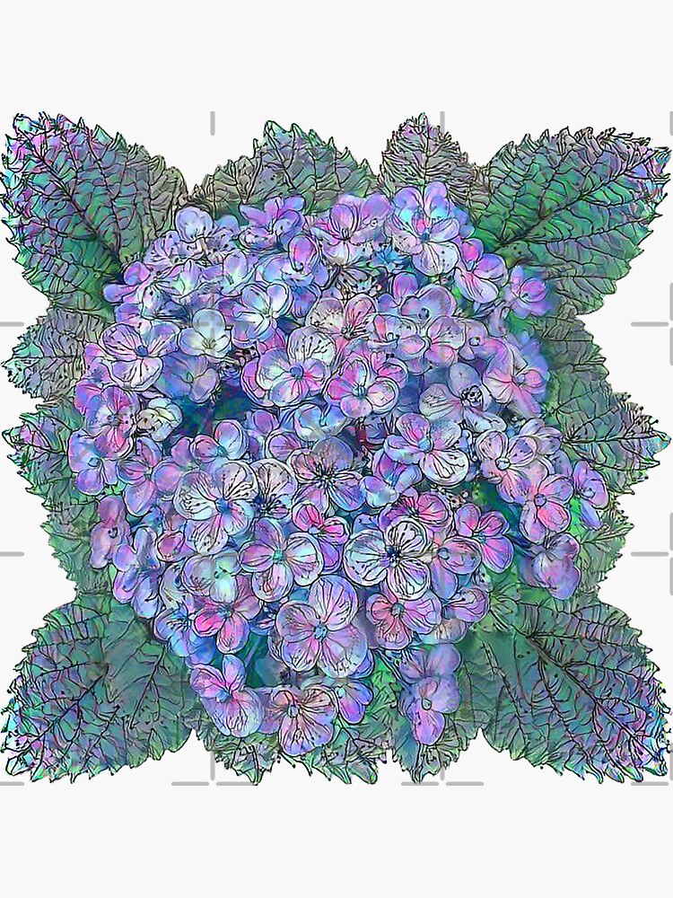 " Hydrangea Blossom Drawing" Sticker for Sale by Kestrelle | Redbubble