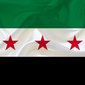 "Syria Independence Flag" Poster for Sale by Mo5tar | Redbubble