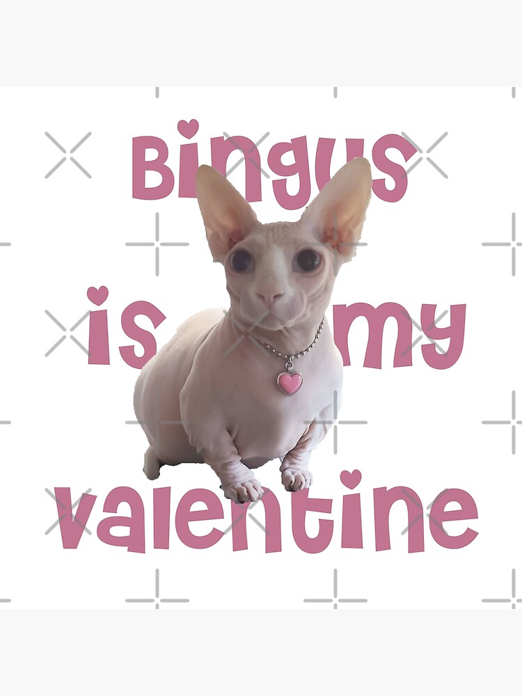 "bingus cat" Poster for Sale by Ashi17 | Redbubble