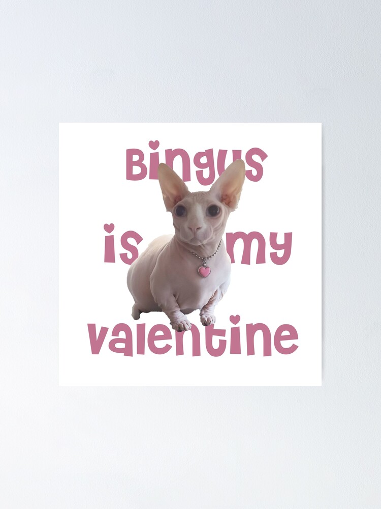 "bingus cat" Poster for Sale by Ashi17 | Redbubble