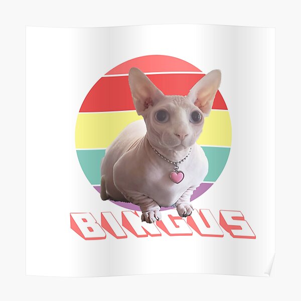 "bingus cat" Poster for Sale by Ashi17 | Redbubble