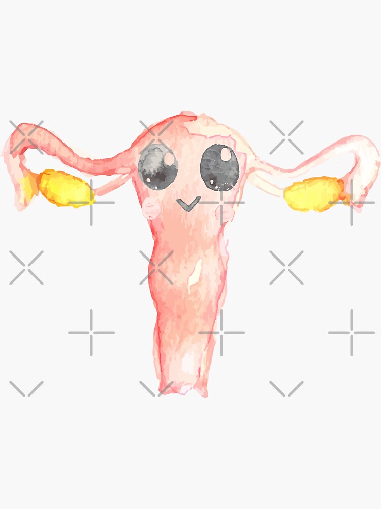 "Cute Watercolor Uterus" Sticker by sadiesavesit | Redbubble