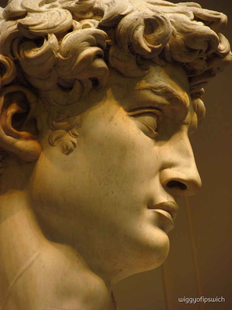 "Michelangelo Study; The Face" Sticker for Sale by wiggyofipswich ...