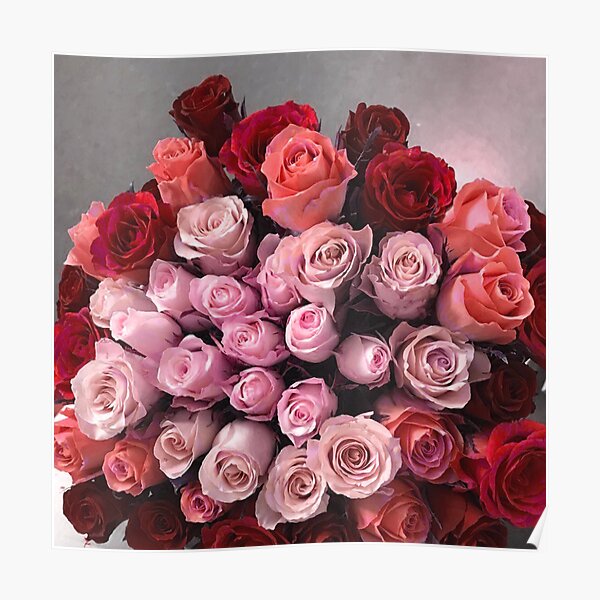Poster « Design dégradé de roses rouges à roses », par kristalachi ...