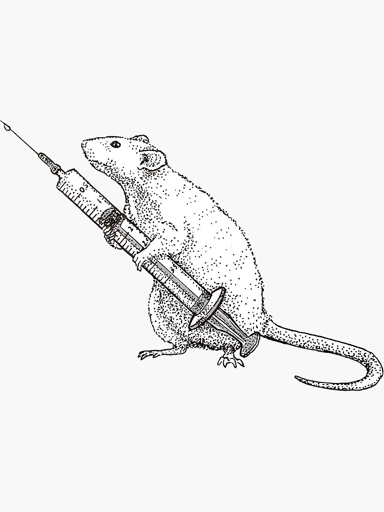 "Lab rat" Sticker for Sale by Isabella Perego | Redbubble