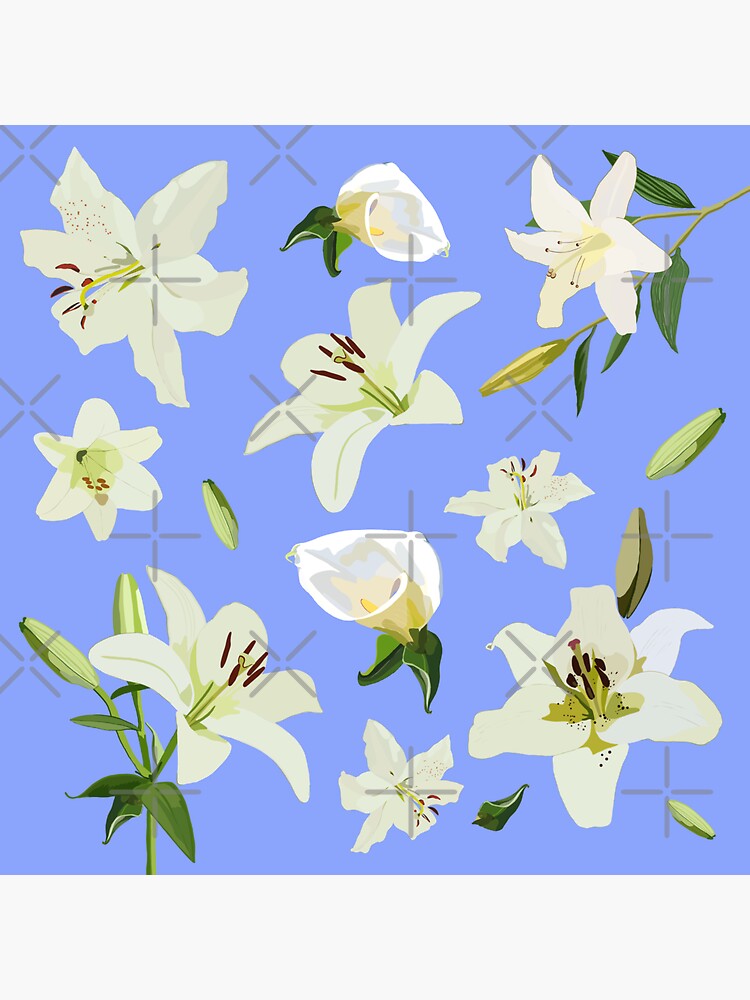 "Lily flowers" Sticker for Sale by smoochugs | Redbubble