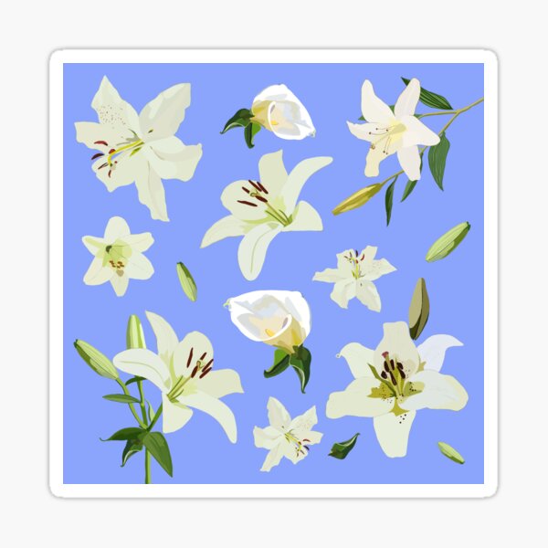"Lily flowers" Sticker for Sale by smoochugs | Redbubble