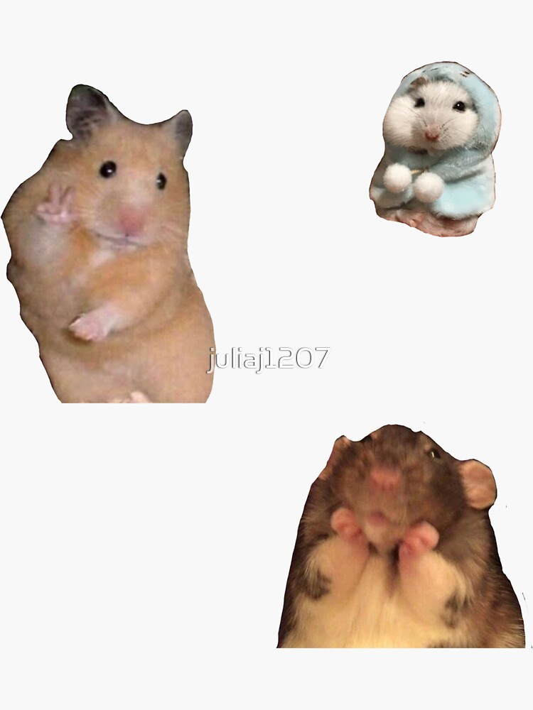 "Hamster Meme Sticker Pack" Sticker for Sale by juliaj1207 | Redbubble