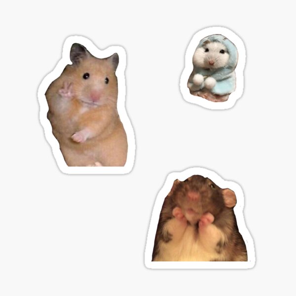 "Hamster Meme Sticker Pack" Sticker for Sale by juliaj1207 | Redbubble