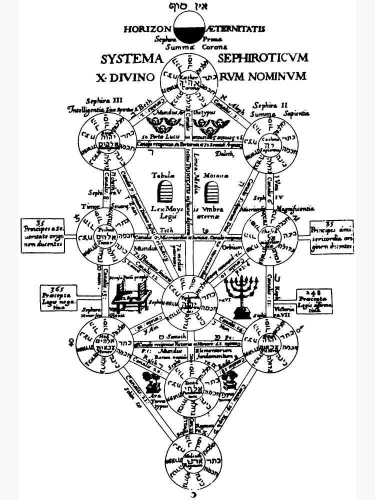 "Tree of Life" Poster for Sale by Mr-Raindrop | Redbubble