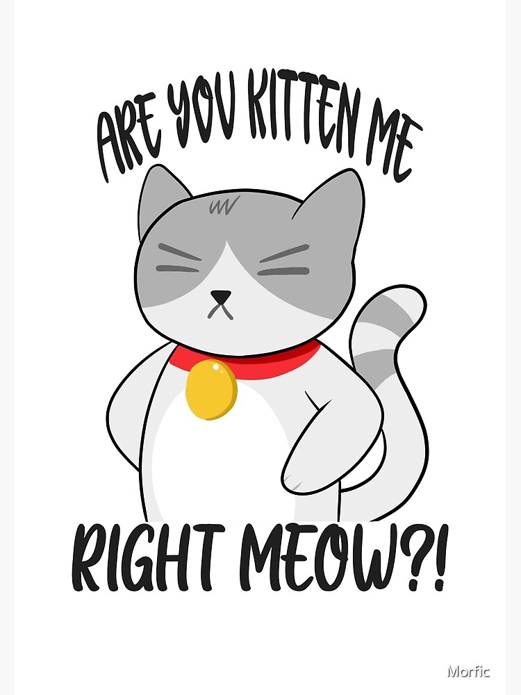"Are You Kitten Me Right Meow?!" Poster by Morfic | Redbubble