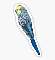 Budgie Stickers | Redbubble