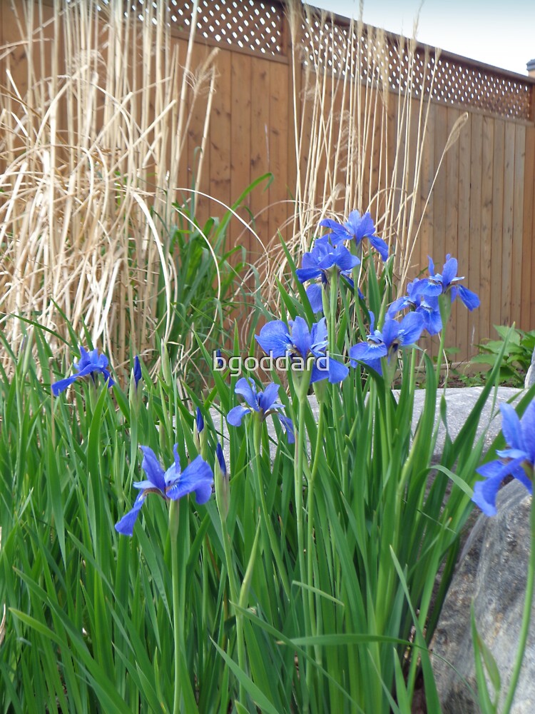 "CURB APPEAL" Sticker by bgoddard | Redbubble