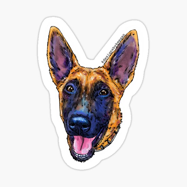"Belgian Malinois" Sticker by designsbykeegan | Redbubble