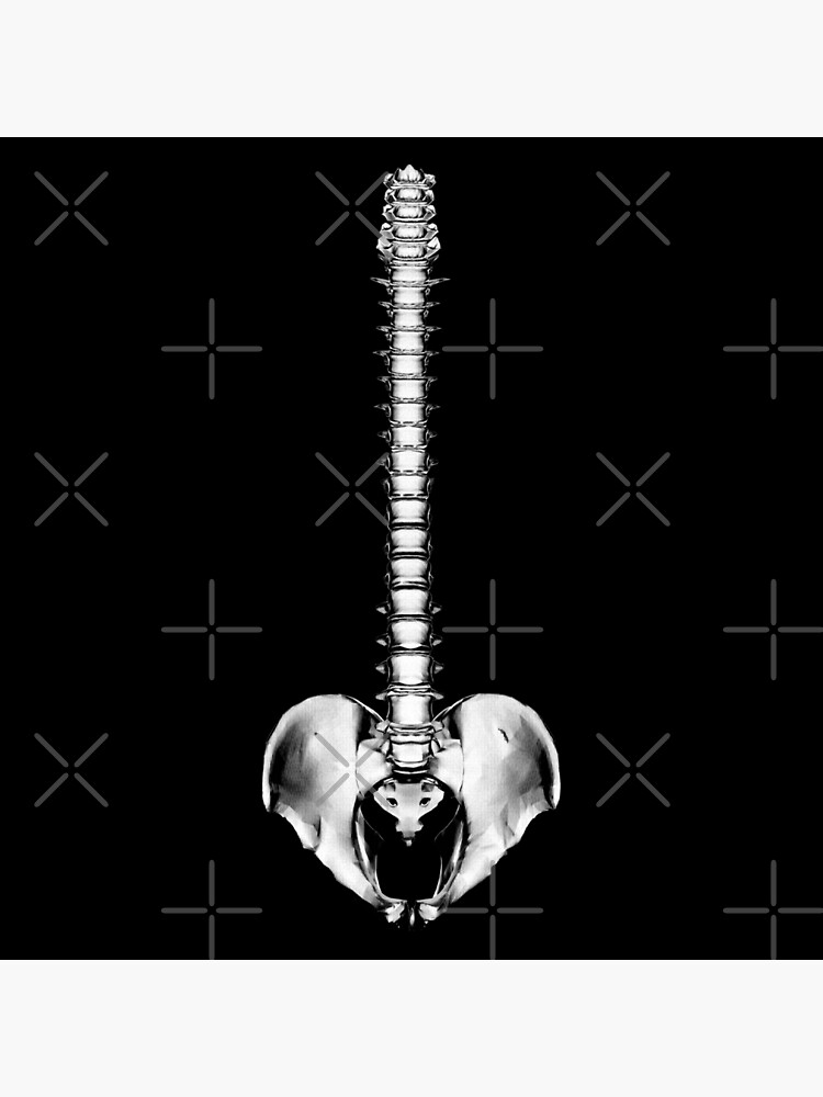 "Comic Style Psychedelic Pelvis and spine" Poster for Sale by CornKob ...