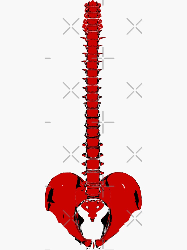 "Comic Style Psychedelic Pelvis and spine" Sticker for Sale by CornKob ...