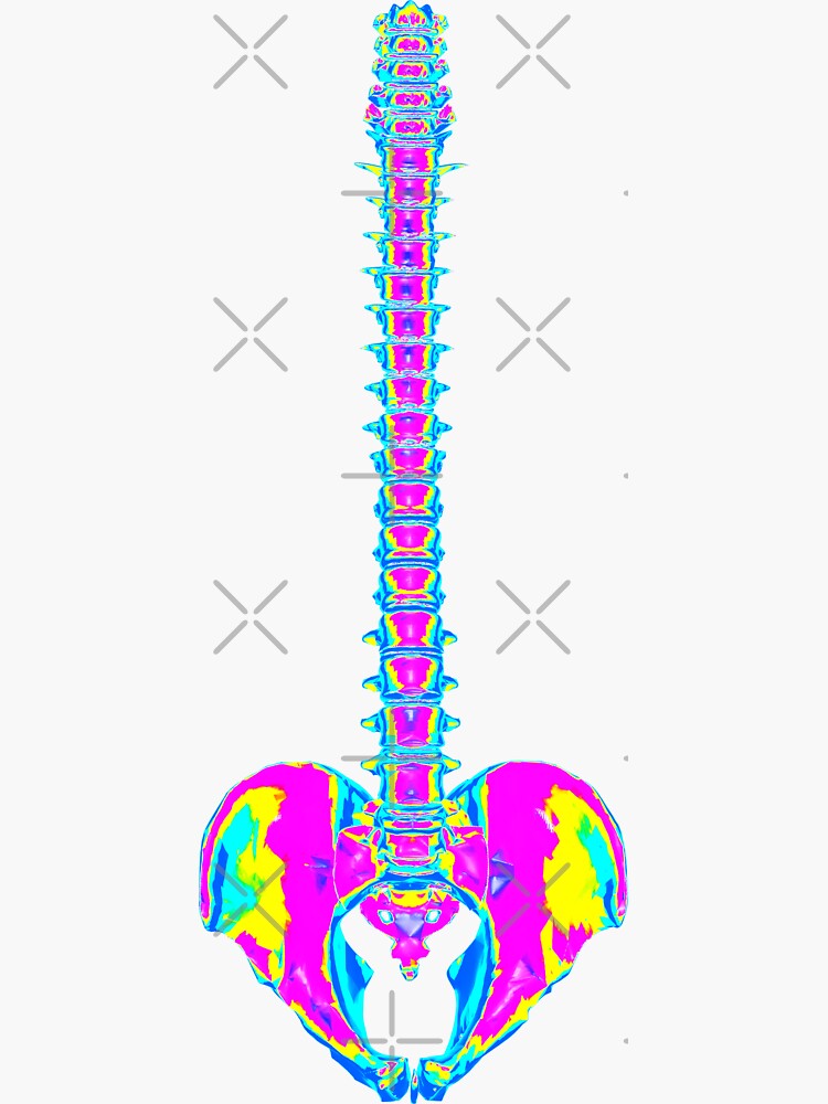 "Comic Style Psychedelic Pelvis and spine" Sticker for Sale by CornKob ...