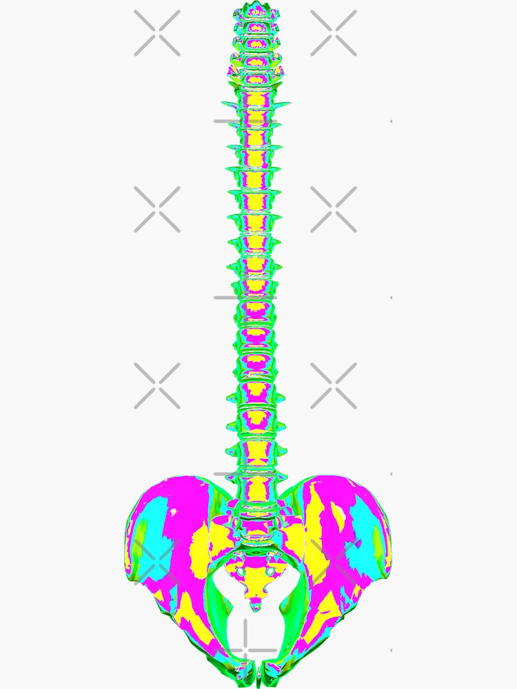 "Comic Style Psychedelic Pelvis and spine" Sticker for Sale by CornKob ...
