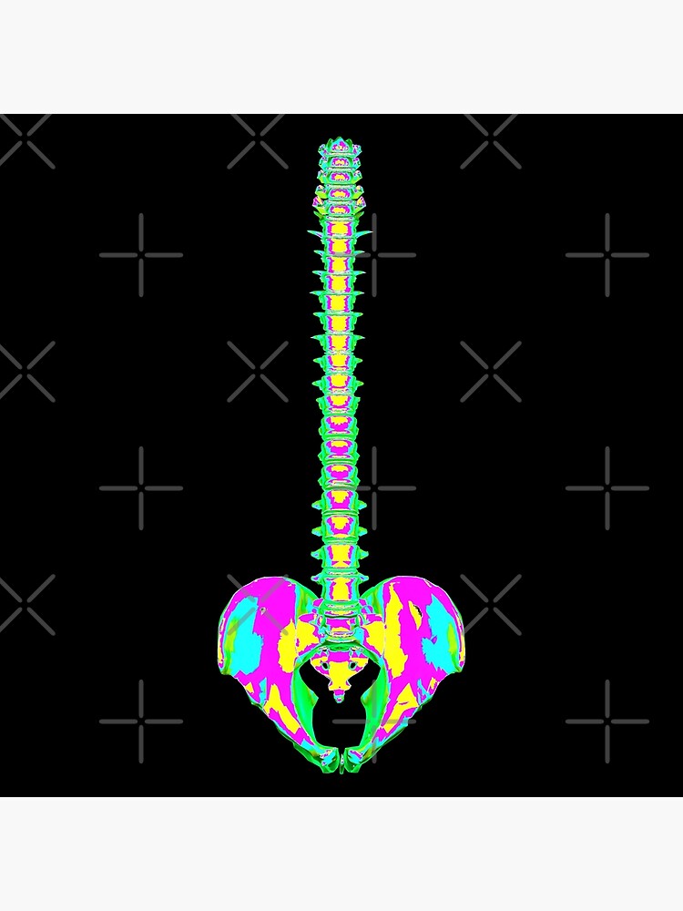 "Comic Style Psychedelic Pelvis and spine" Poster for Sale by CornKob ...