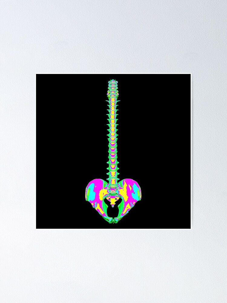 "Comic Style Psychedelic Pelvis and spine" Poster for Sale by CornKob ...