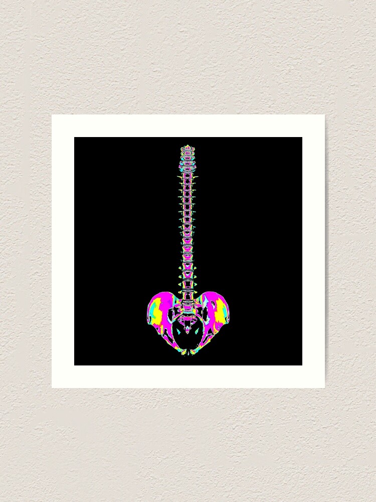 "Comic Style Psychedelic Pelvis and spine" Art Print by CornKob | Redbubble