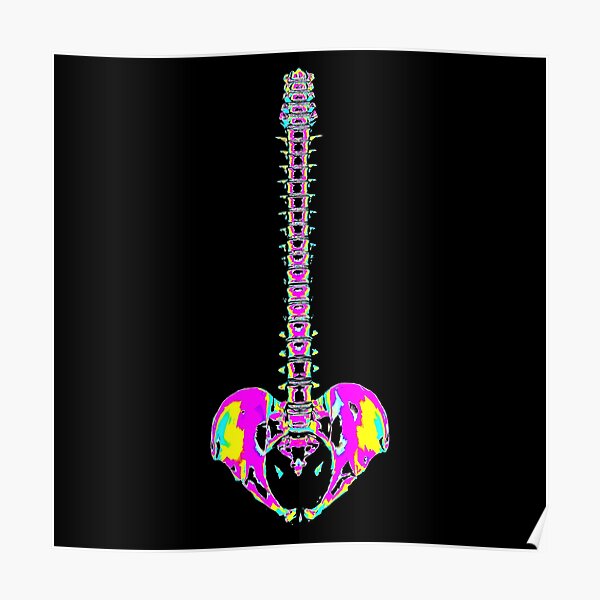 "Comic Style Psychedelic Pelvis and spine" Poster for Sale by CornKob ...