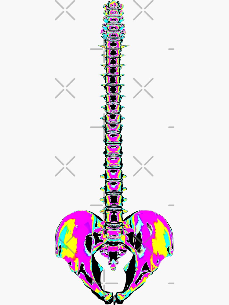 "Comic Style Psychedelic Pelvis and spine" Sticker for Sale by CornKob ...