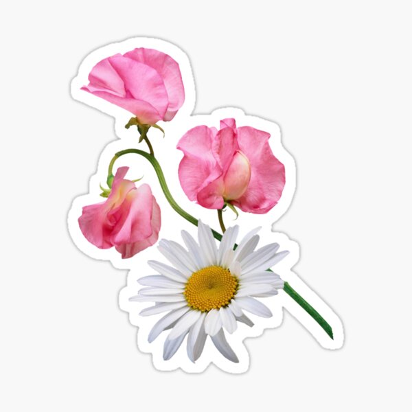 "april birth flowers" Sticker for Sale by rachelbb11 | Redbubble