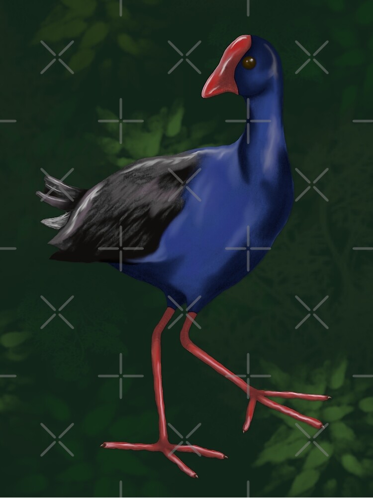 "Proud Pukeko *Animals of New Zealand*" Poster by drawnexplore | Redbubble