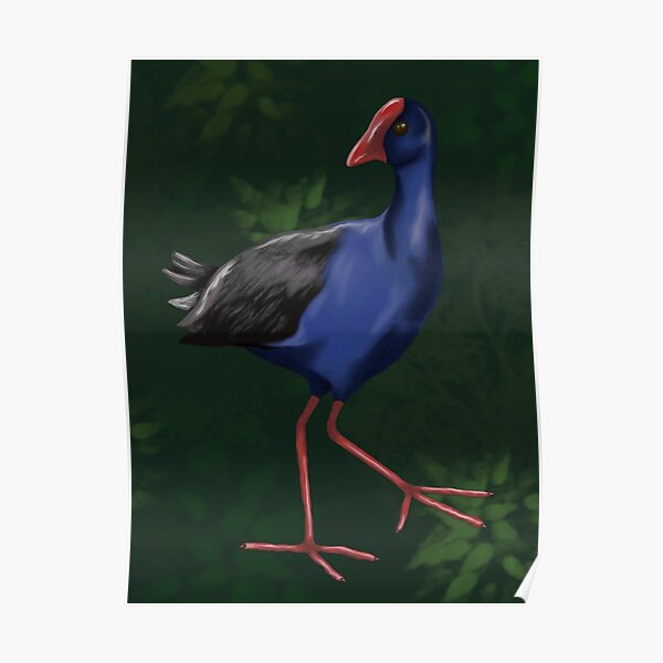 "Proud Pukeko *Animals of New Zealand*" Poster by drawnexplore | Redbubble