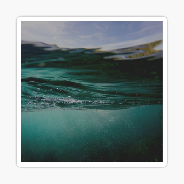 "Appearance" Sticker for Sale by Bindupandey | Redbubble