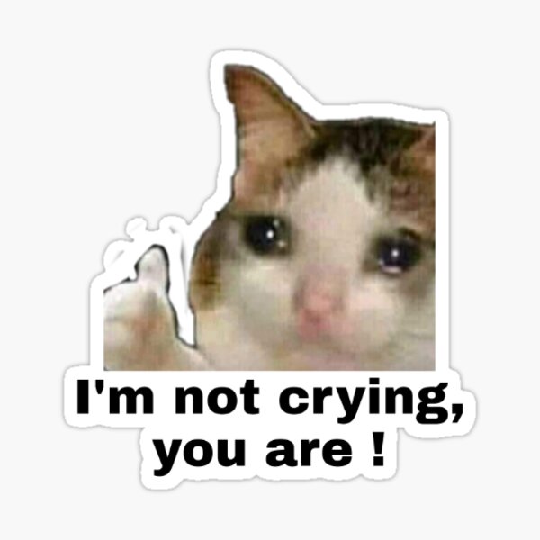 "I'm not crying you are" Sticker by SmitaMaharana | Redbubble
