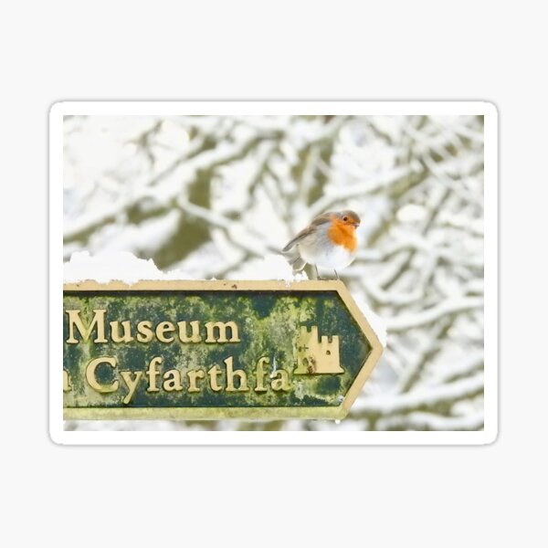 "Robin on sign, Cyfarthfa Park" Sticker by Louisamhocking | Redbubble