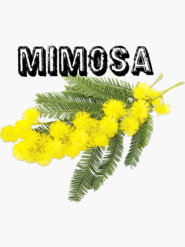 "Mimosa" Sticker by Pipojot | Redbubble
