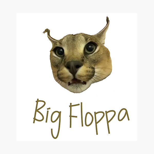 "Big floppa" Photographic Print for Sale by neuronic | Redbubble