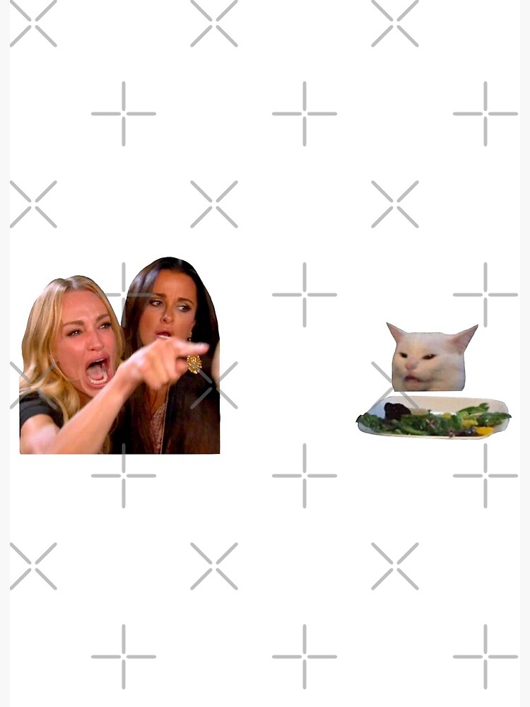 Meme De Chica Gritando Camiseta Mujer Gritando A Un Gato Meme De