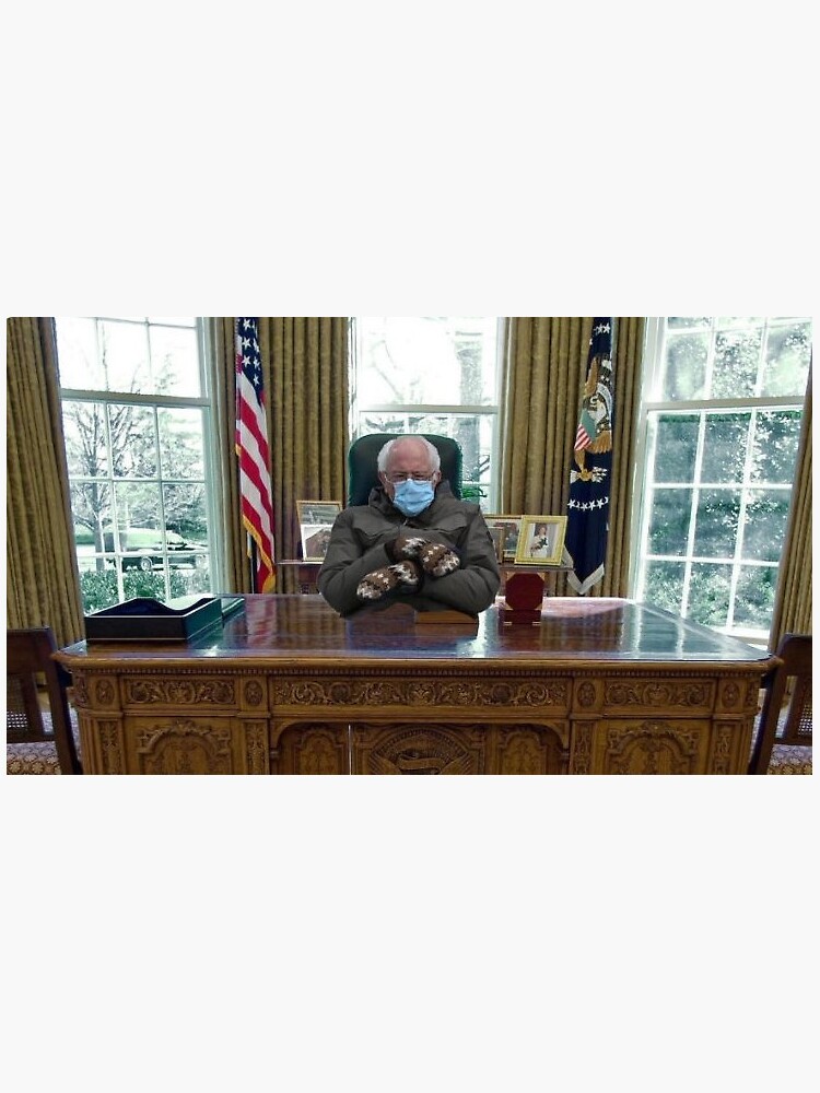 "BERNIE SANDERS MEME" Sticker for Sale by gryntwo2 | Redbubble